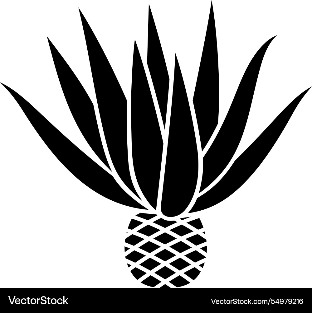 Agave Royalty Free Vector Image - VectorStock