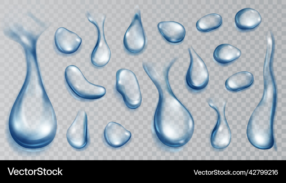 Translucent water drops Royalty Free Vector Image