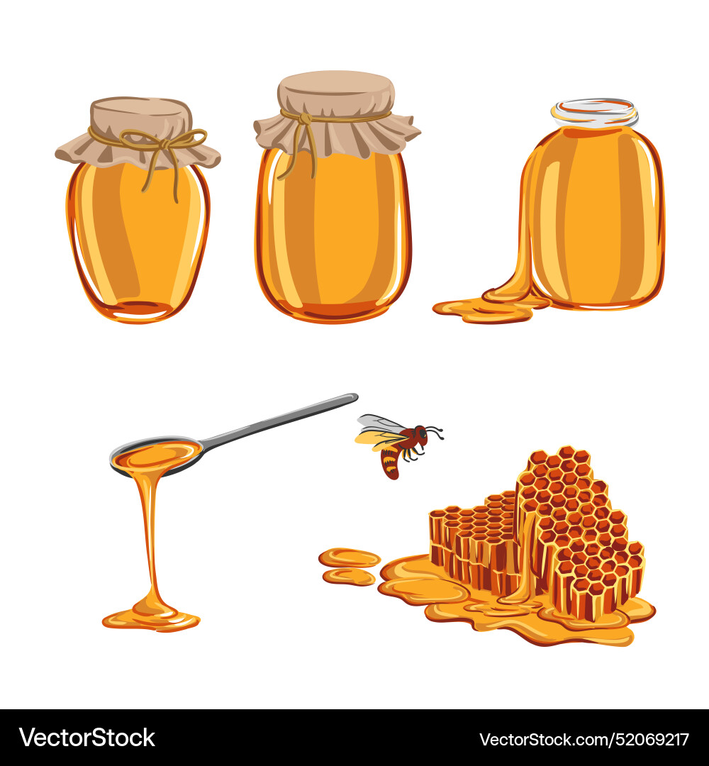 Drawing honey elements Royalty Free Vector Image
