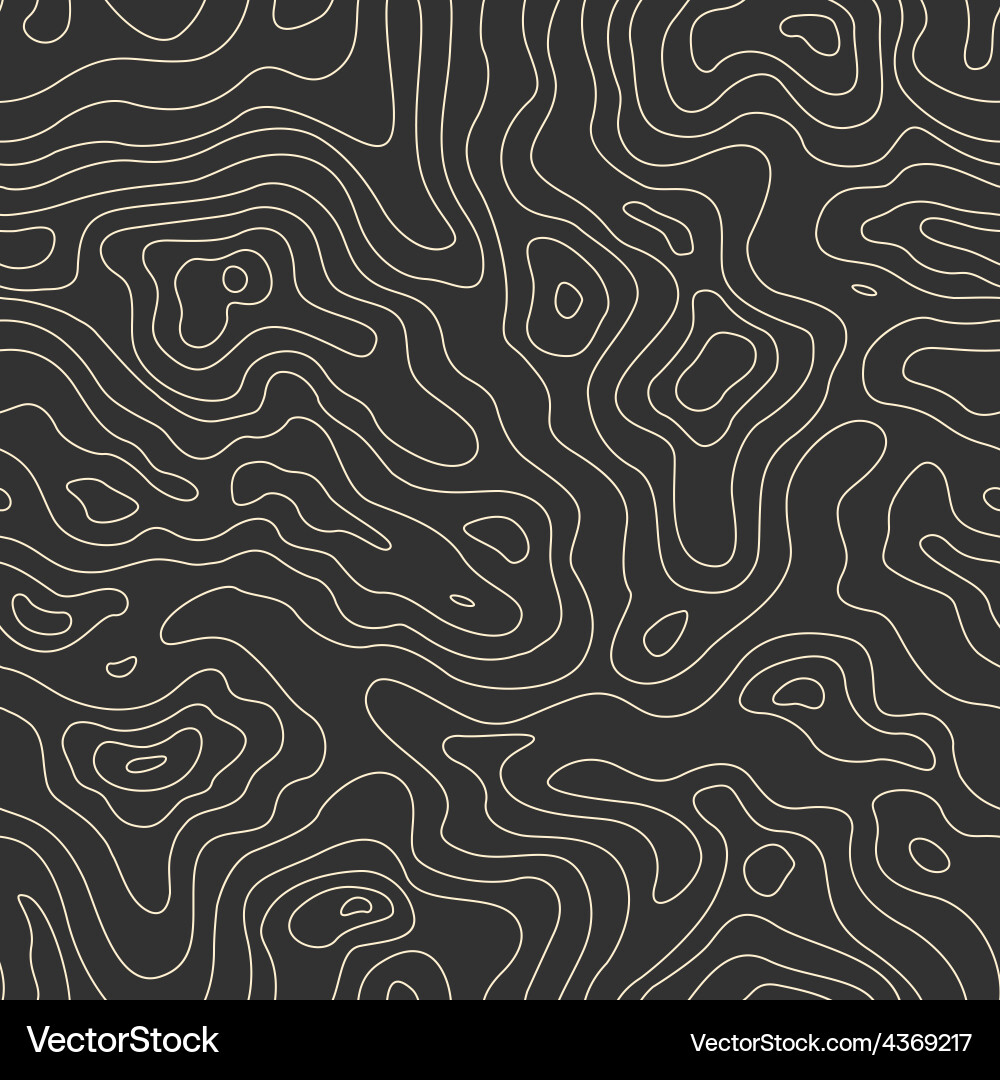 Topographic map seamless pattern Royalty Free Vector Image Topographic map seamless pattern Royalty Free Vector Image