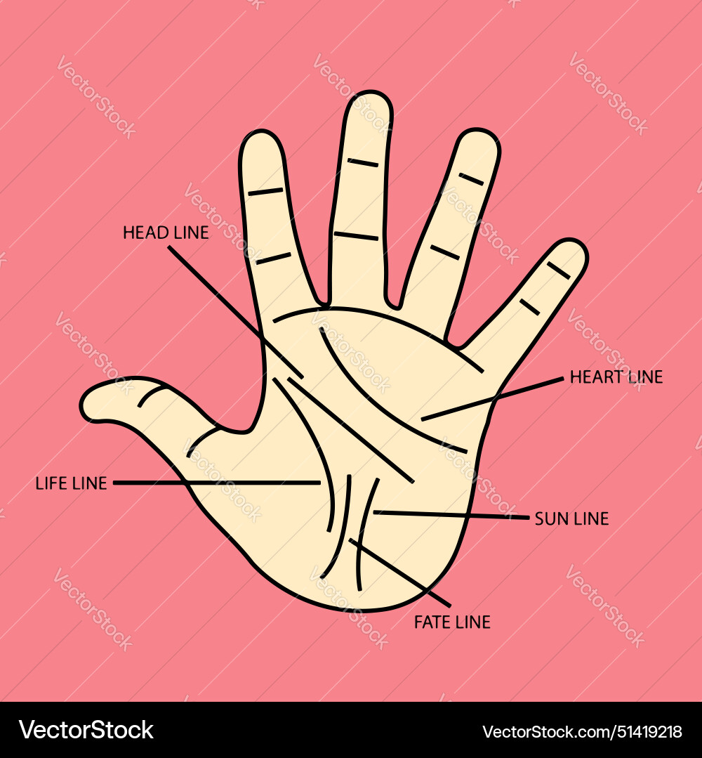 Palm reading Royalty Free Vector Image - VectorStock