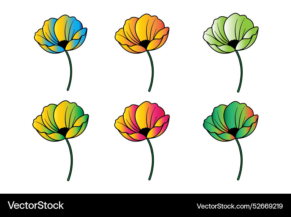 Poppy flower Royalty Free Vector Image - VectorStock