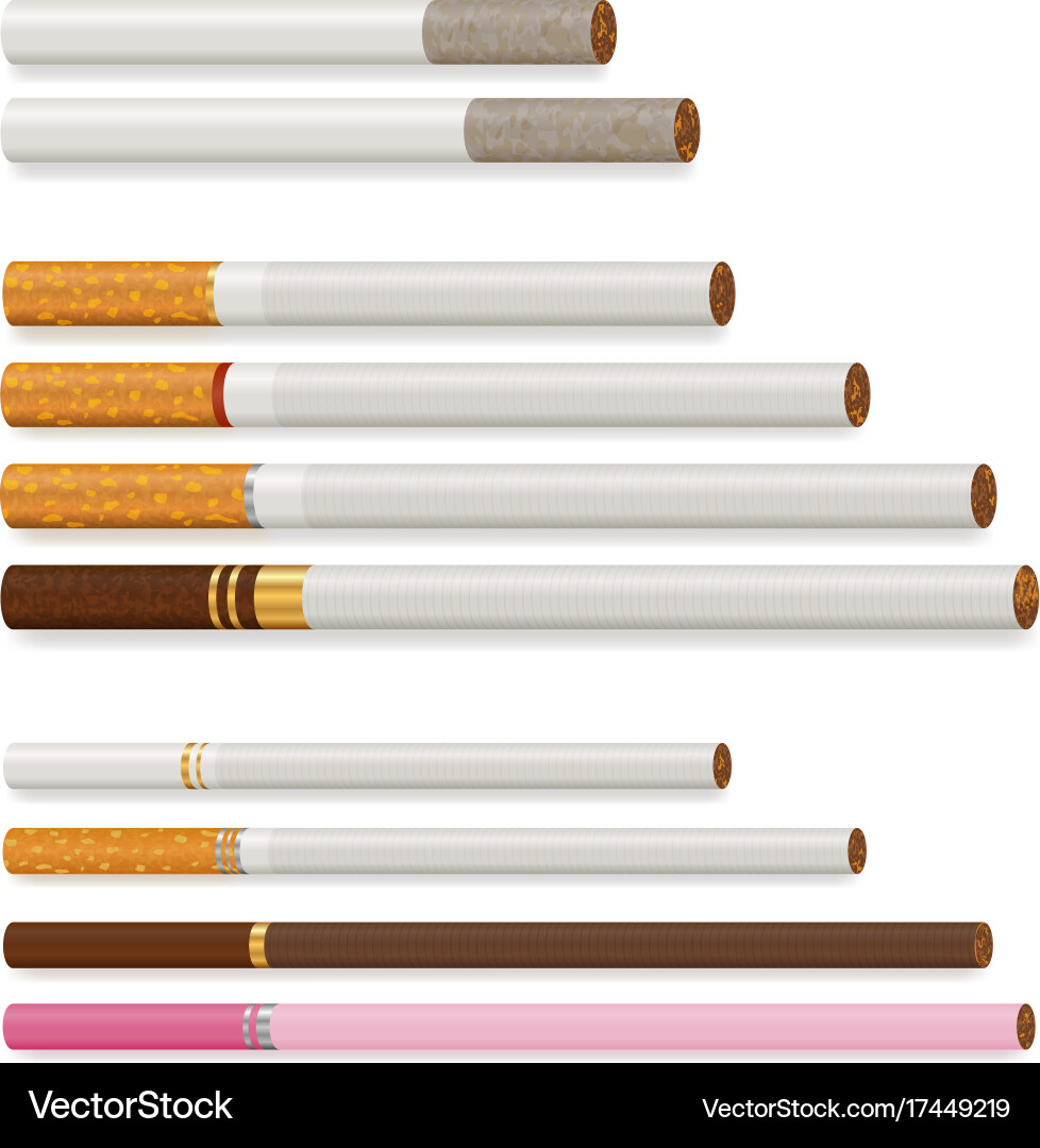 Realistic cigarette set Royalty Free Vector Image
