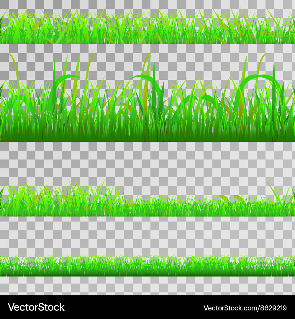 Seamless green grass Royalty Free Vector Image