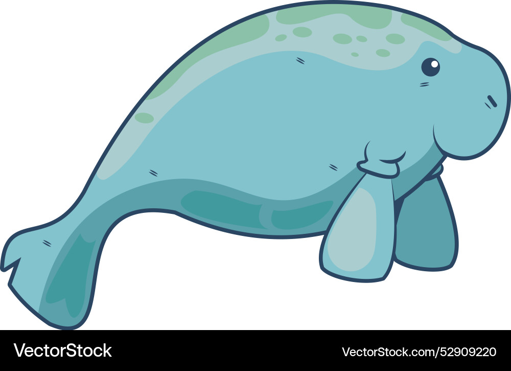 Close up sea cow Royalty Free Vector Image - VectorStock