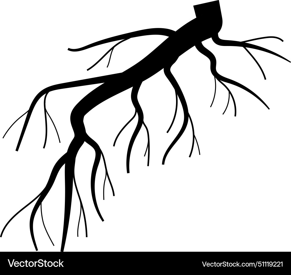 Anchor tree root cartoon Royalty Free Vector Image