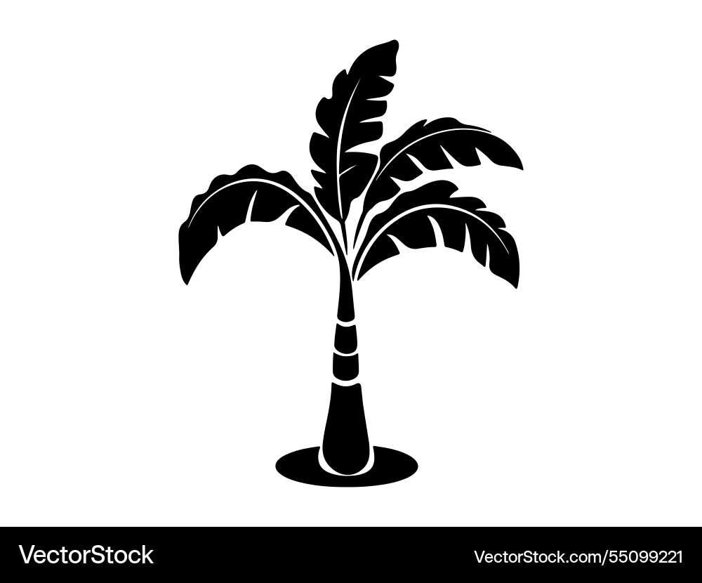 Banana plant Royalty Free Vector Image - VectorStock