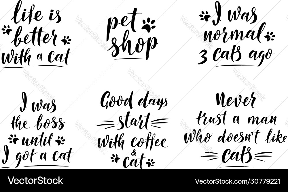 Cute slogans about cats handwritten textured sign Vector Image
