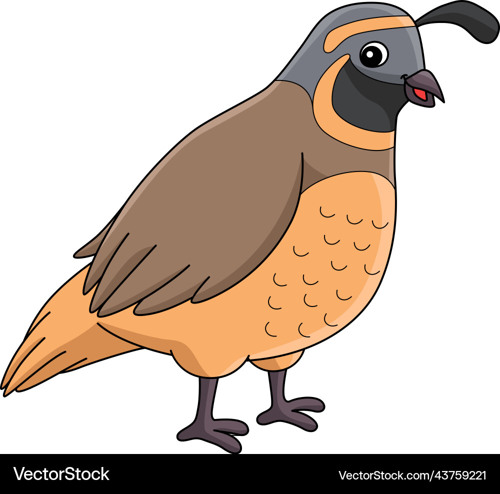 Quail animal cartoon colored clipart Royalty Free Vector