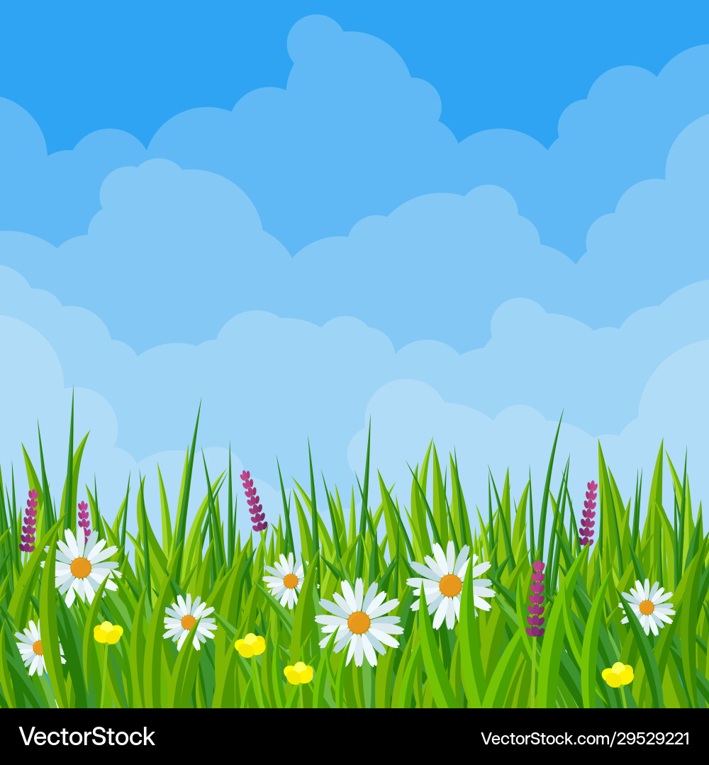 Spring meadow cloudscape Royalty Free Vector Image