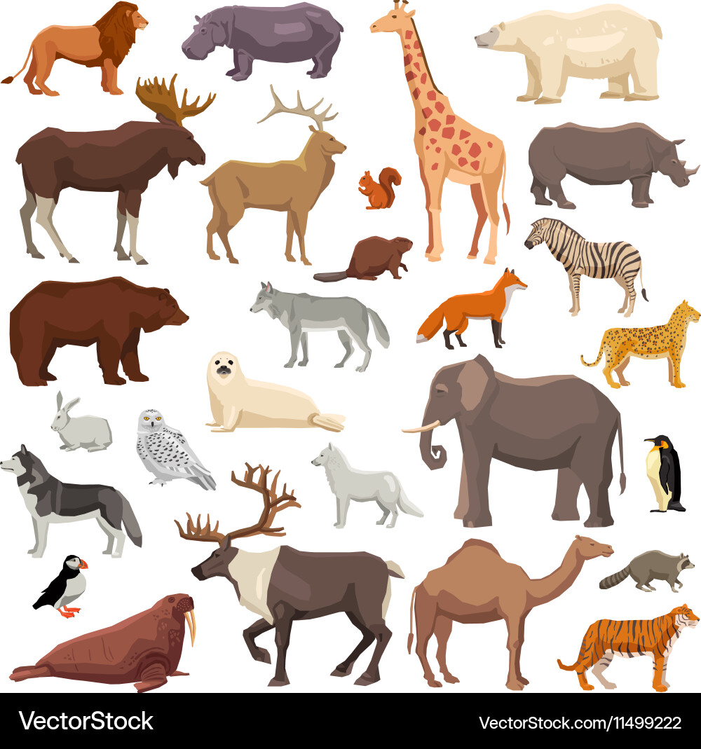 Animals big set Royalty Free Vector Image - VectorStock