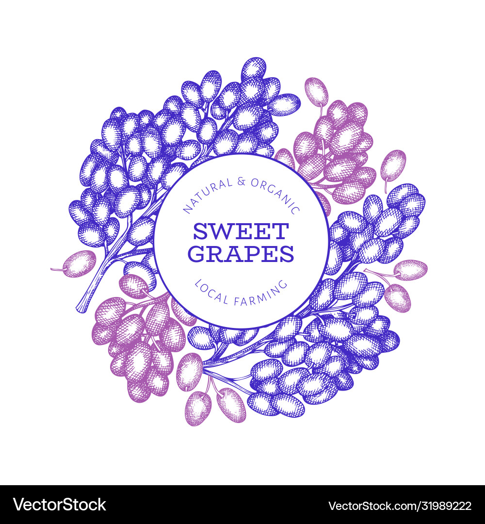 Grape design template hand drawn berry Royalty Free Vector