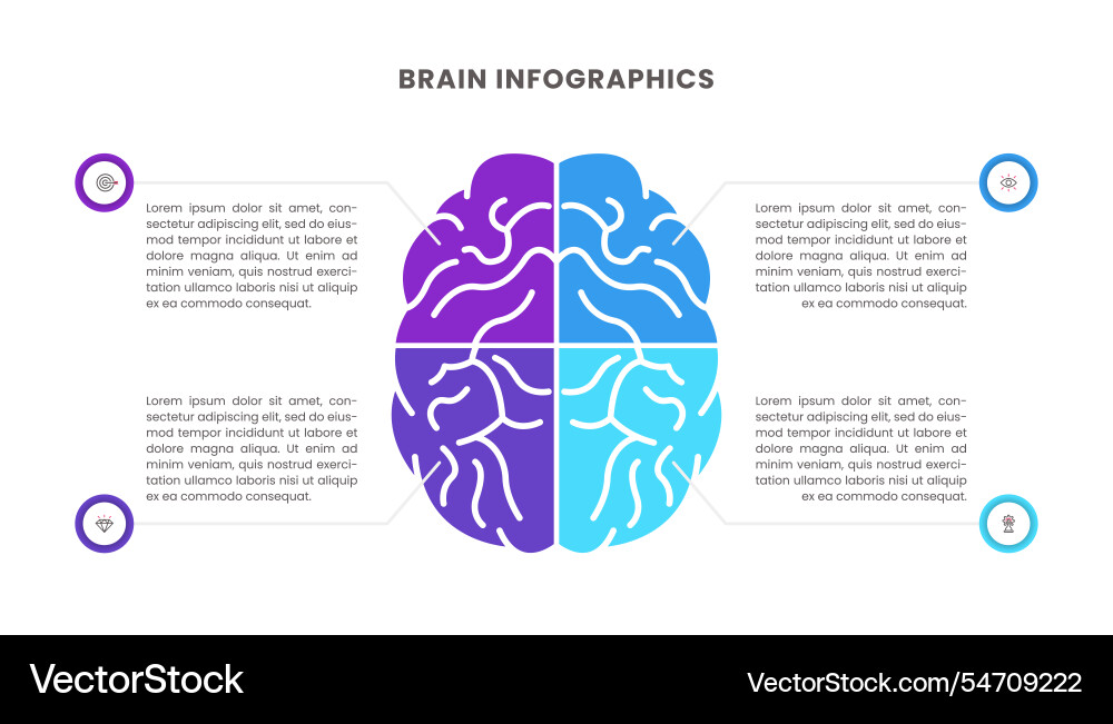 Infographic brain template design four options Vector Image