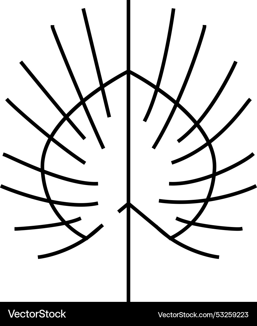 Chinese fan palm line icon Royalty Free Vector Image