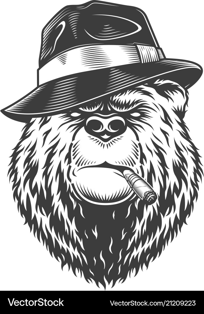 Vintage Mafia Bear Royalty Free Vector Image - VectorStock