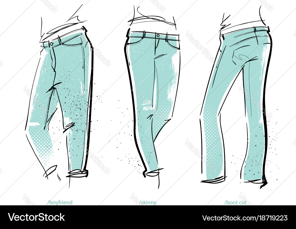 Women jeans fits Royalty Free Vector Image - VectorStock