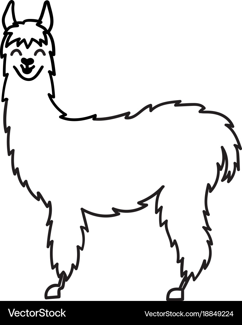 Isolated outline cartoon baby llama Royalty Free Vector