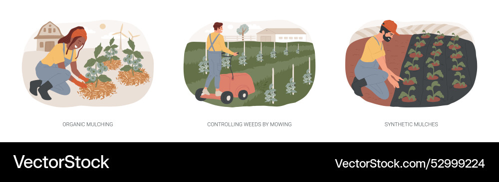 Weed management isolated cartoon Royalty Free Vector Image