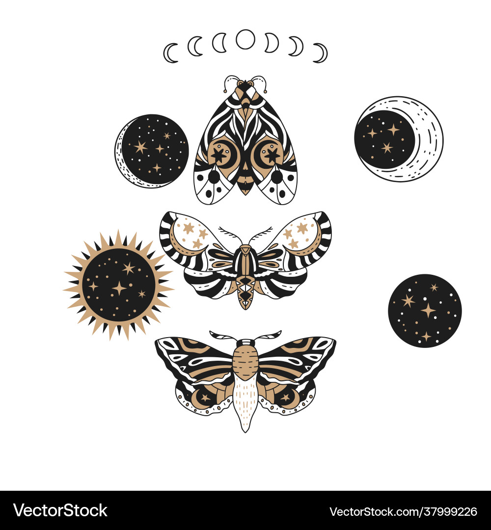 Boho butterfly set Royalty Free Vector Image - VectorStock