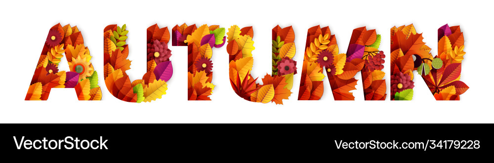 Autumn typography design made with leaves Vector Image