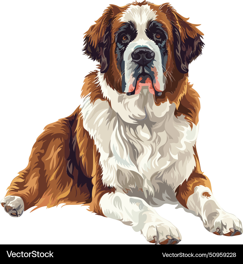 Saint bernard adorable art Royalty Free Vector Image
