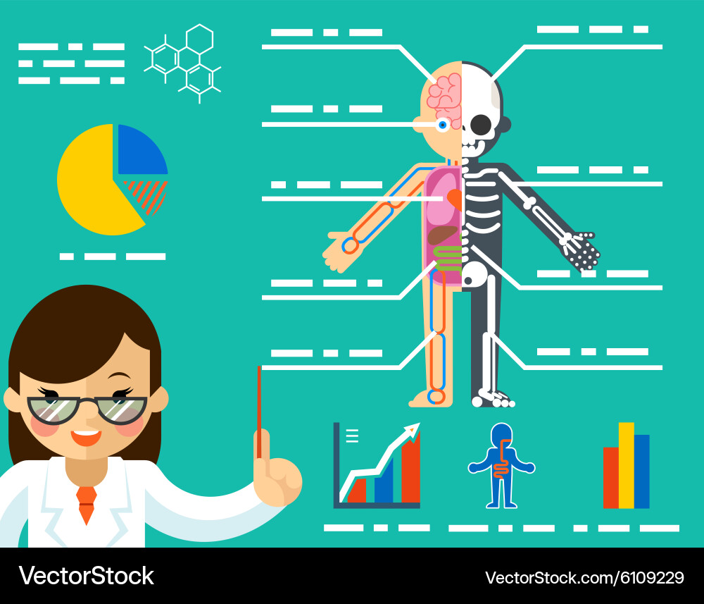 Anatomy Lesson - Doctor Explaining Human Body Vector Image