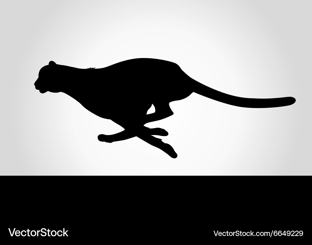 Cheetah Royalty Free Vector Image - VectorStock