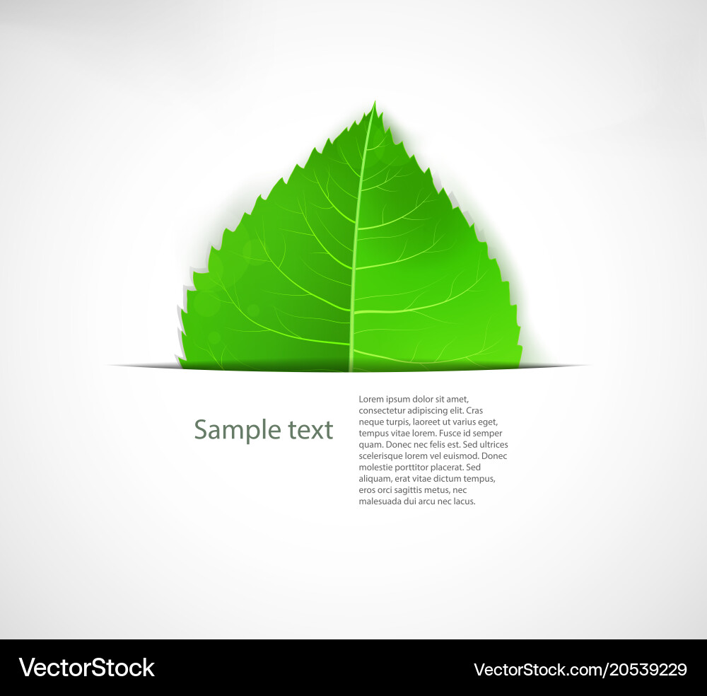 Green background Royalty Free Vector Image - VectorStock