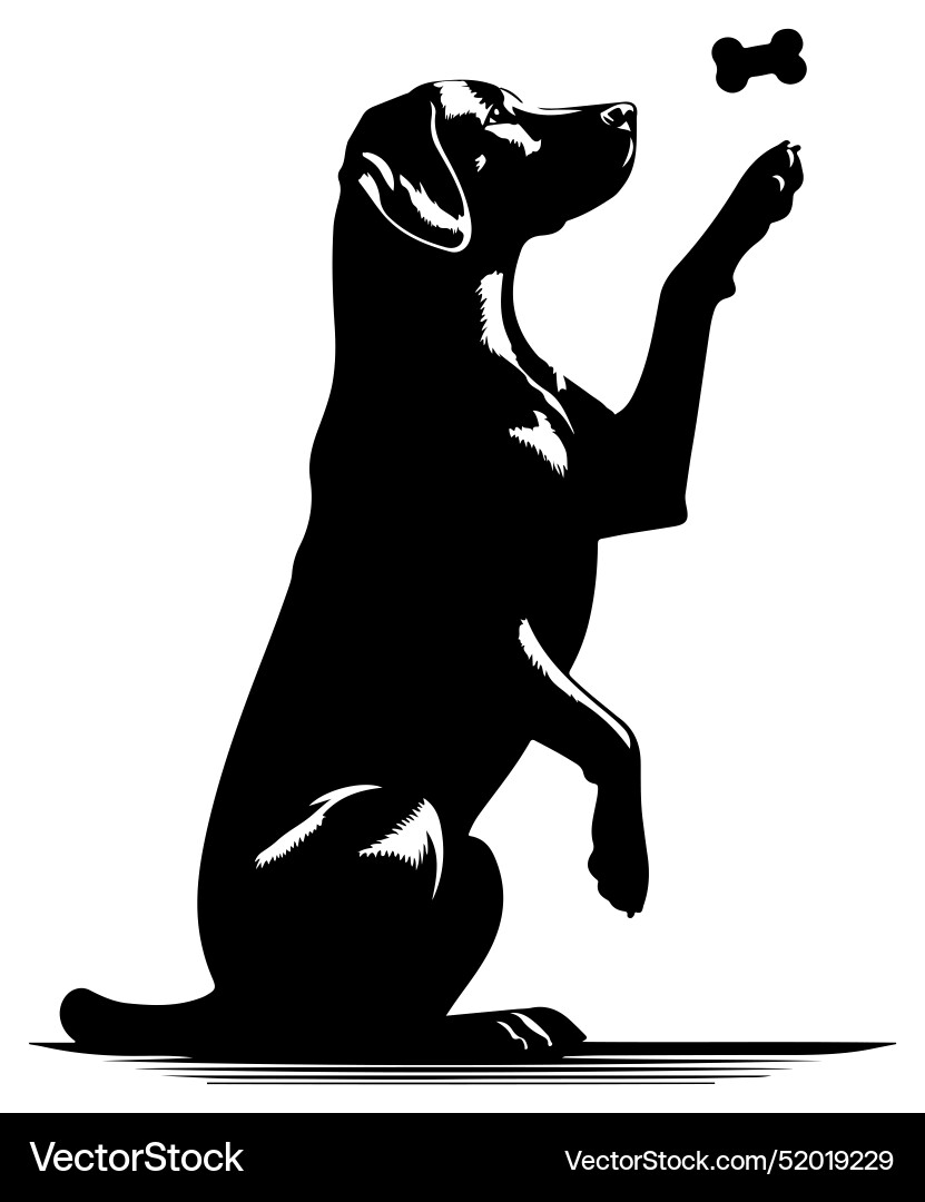 Labrador retriever dog silhouette designisolated Vector Image