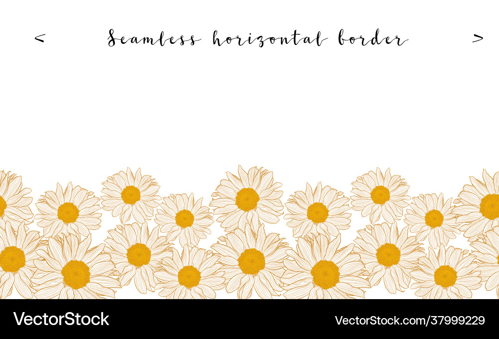 Seamless horizontal daisy border Royalty Free Vector Image