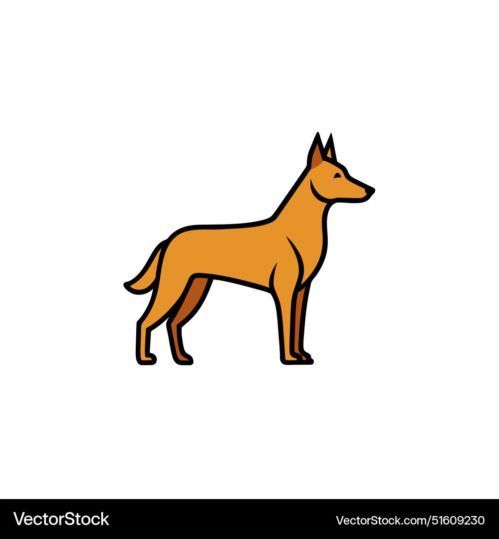 Belgian malinois dog stands icon Royalty Free Vector Image