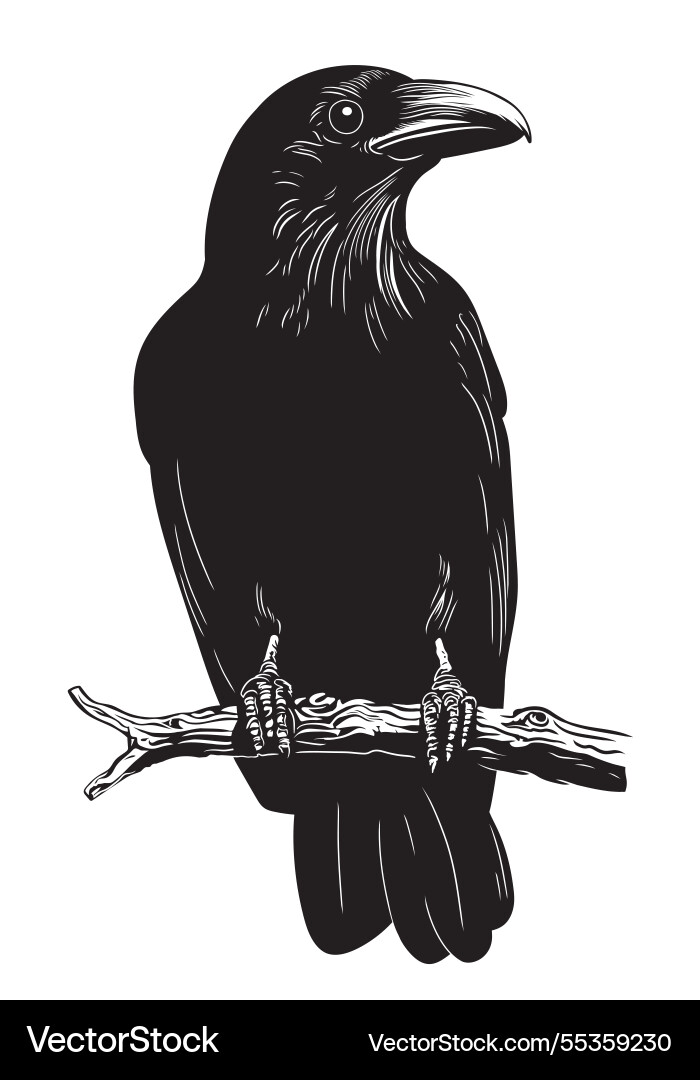 Big black raven on a tree branch Royalty Free Vector Image