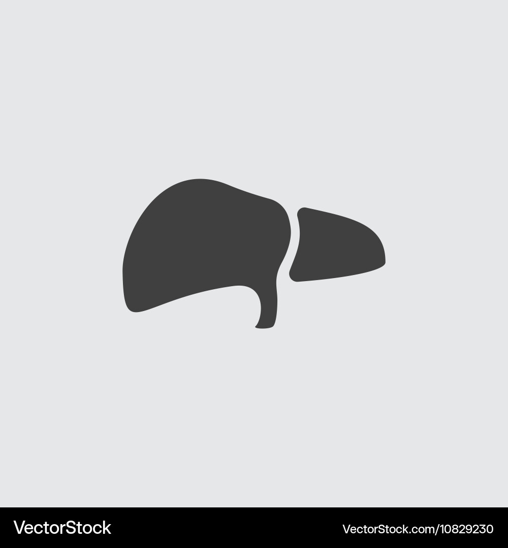 Human Liver Icon Royalty Free Vector Image - VectorStock