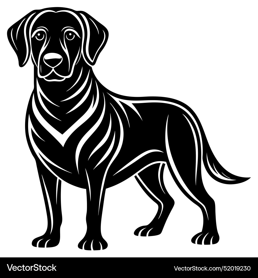Labrador retriever dog silhouette designisolated Vector Image