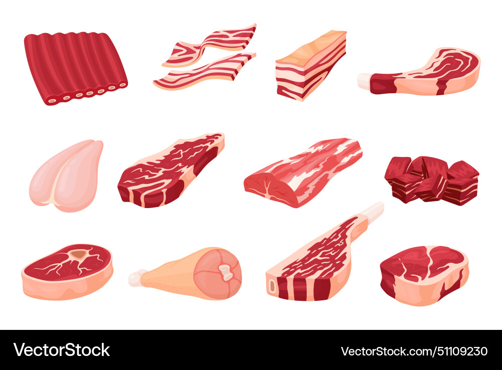 Meat different parts natural organic protein Vector Image