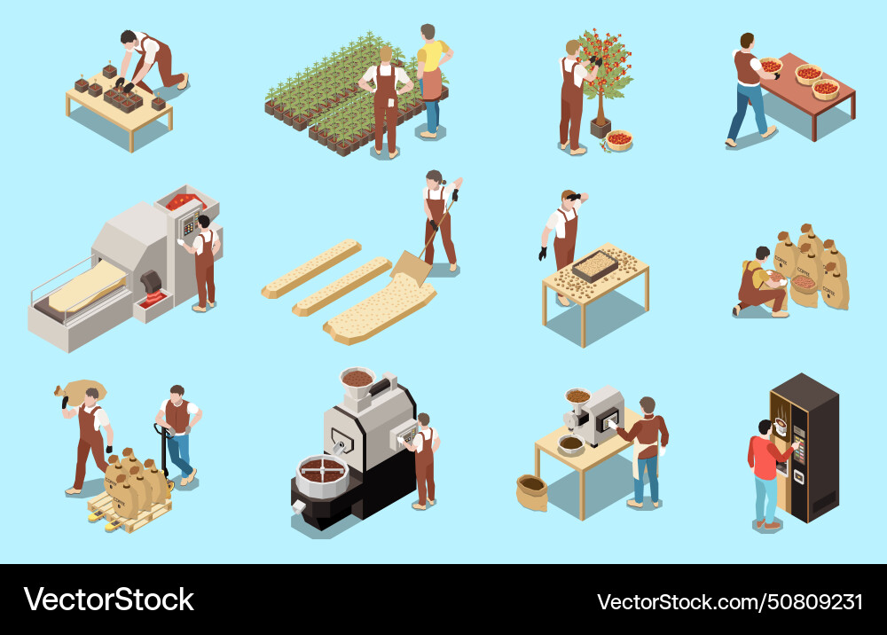 Coffee production industry isometric set Vector Image