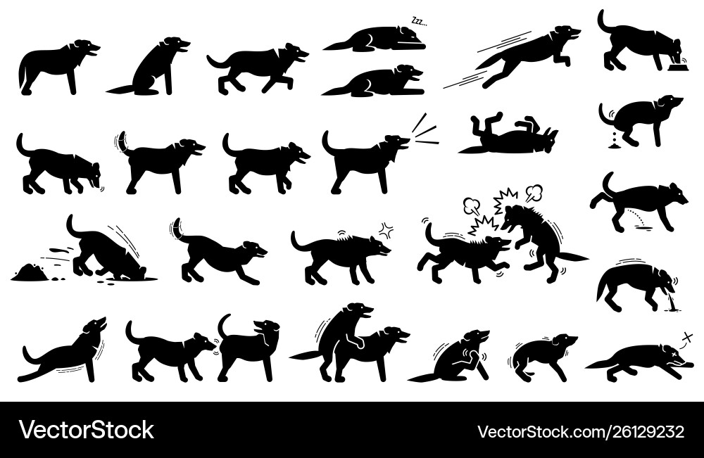 Dog actions reactions postures and body languages Vector Image