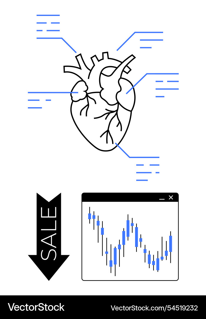 Human heart connected to data points downward Vector Image