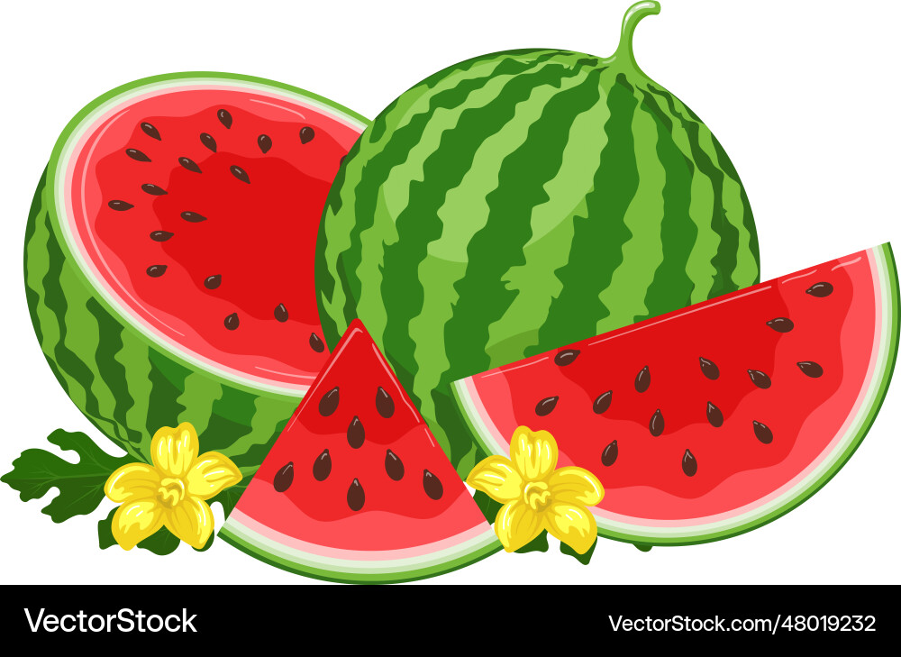 Watermelons cartoon composition Royalty Free Vector Image