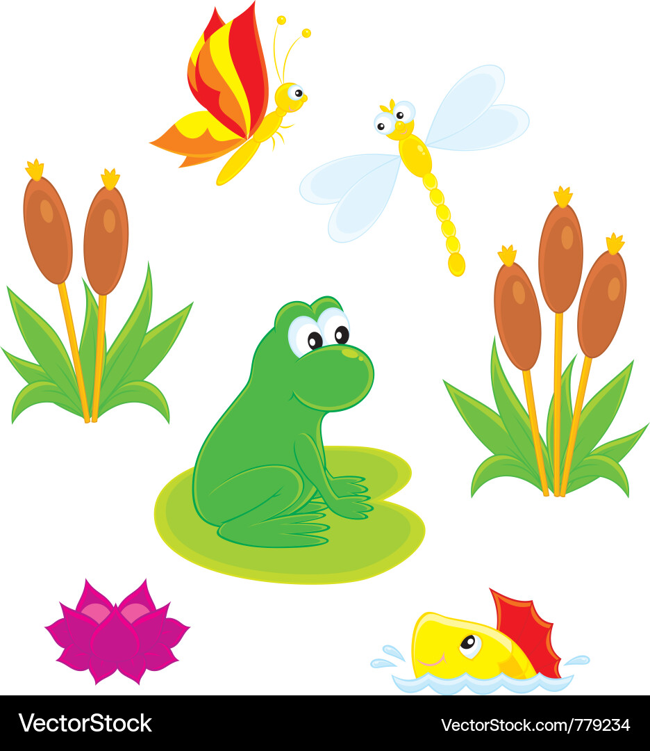 Frog Pond Scene Royalty Free Vector Image - VectorStock