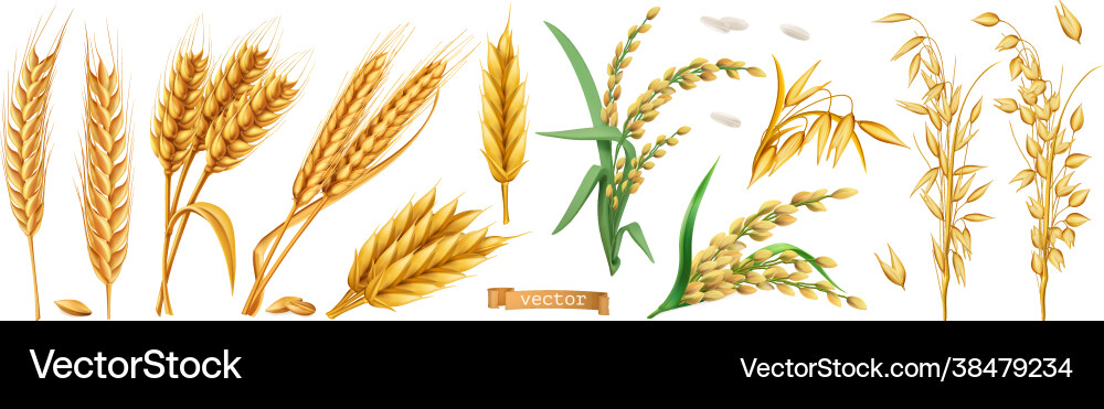Milling Rice Vector Images (over 1,000)