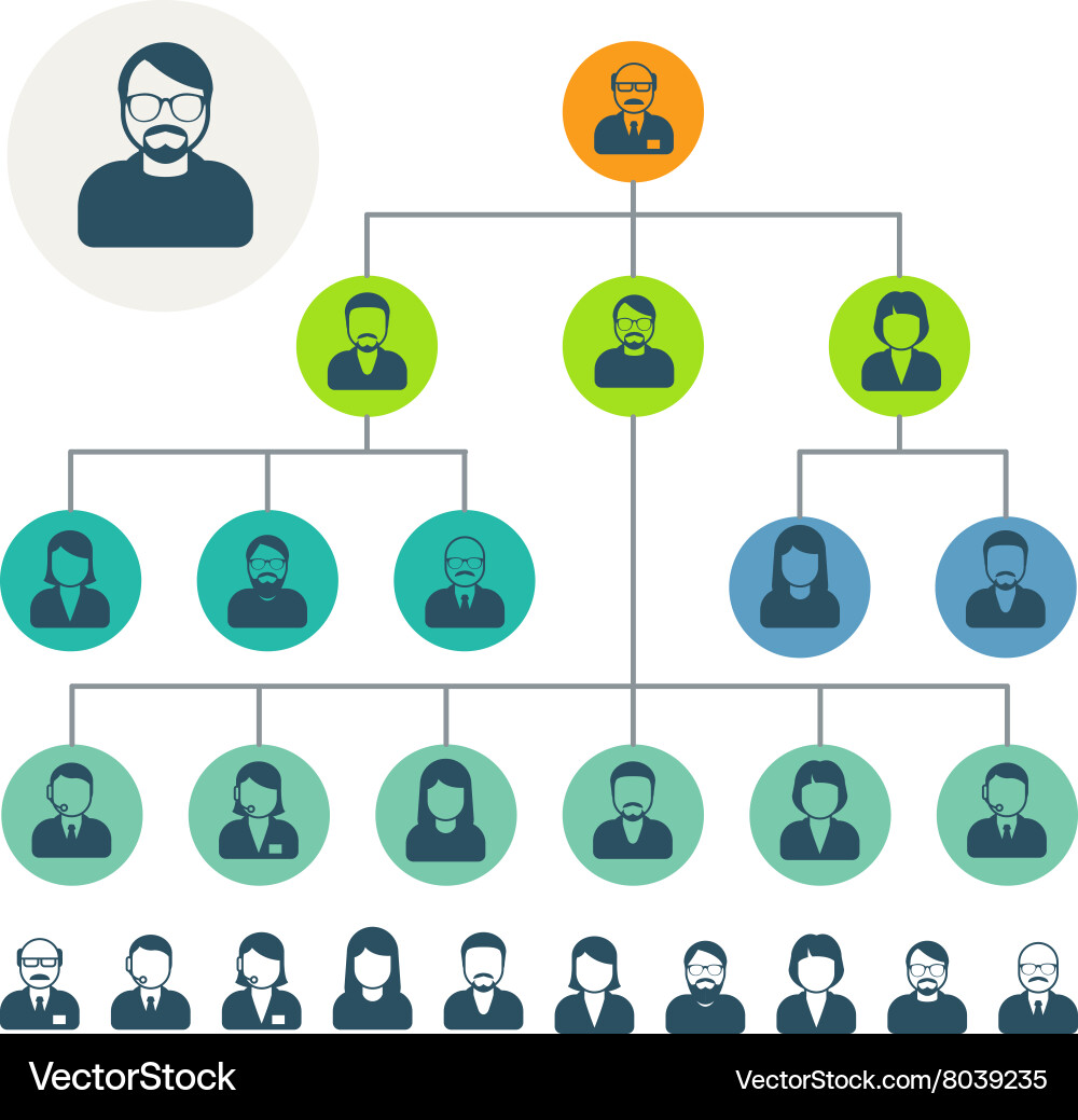 Staff hierarchy or organization structure scheme Vector Image