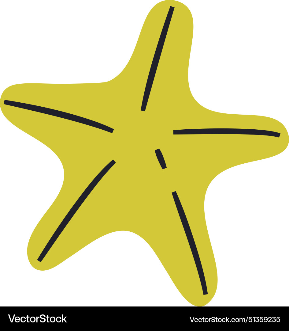 Starfish hand drawn Royalty Free Vector Image - VectorStock