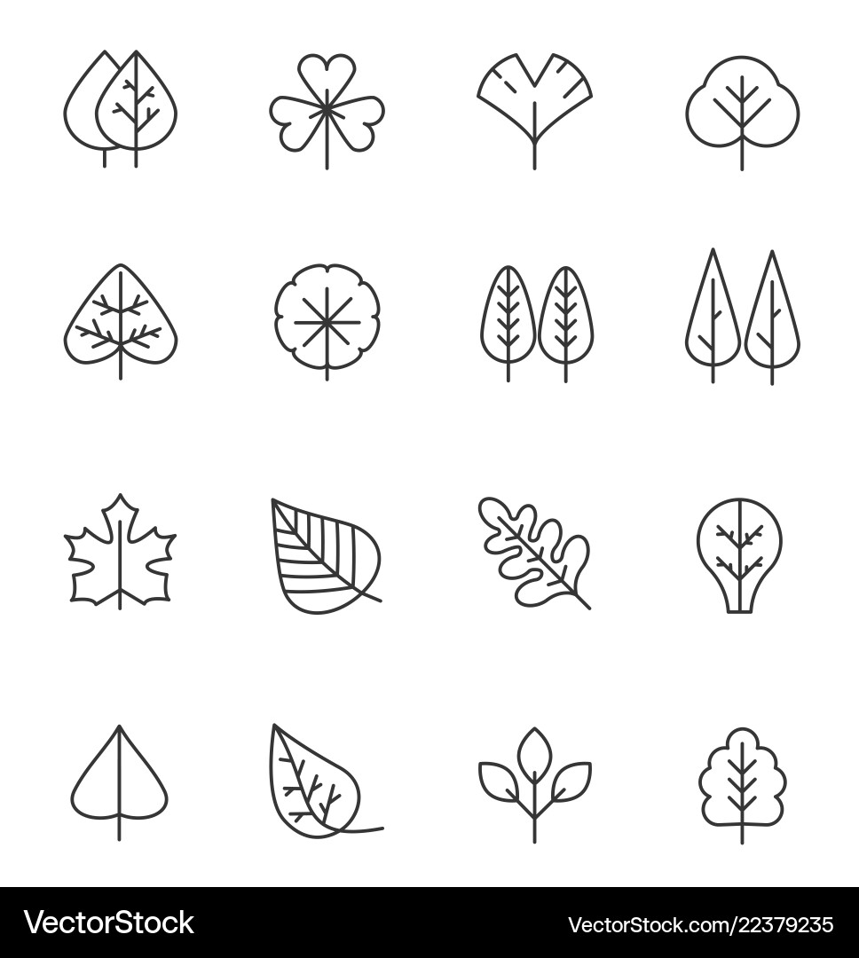 Tree and leaf line icons set natural stroke Vector Image