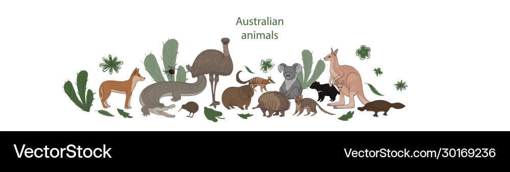 Banner cartoon cute australian animals – Royalty-Free Vector | VectorStock