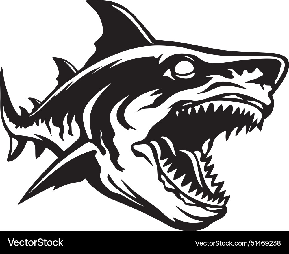 Shark - black and white Royalty Free Vector Image