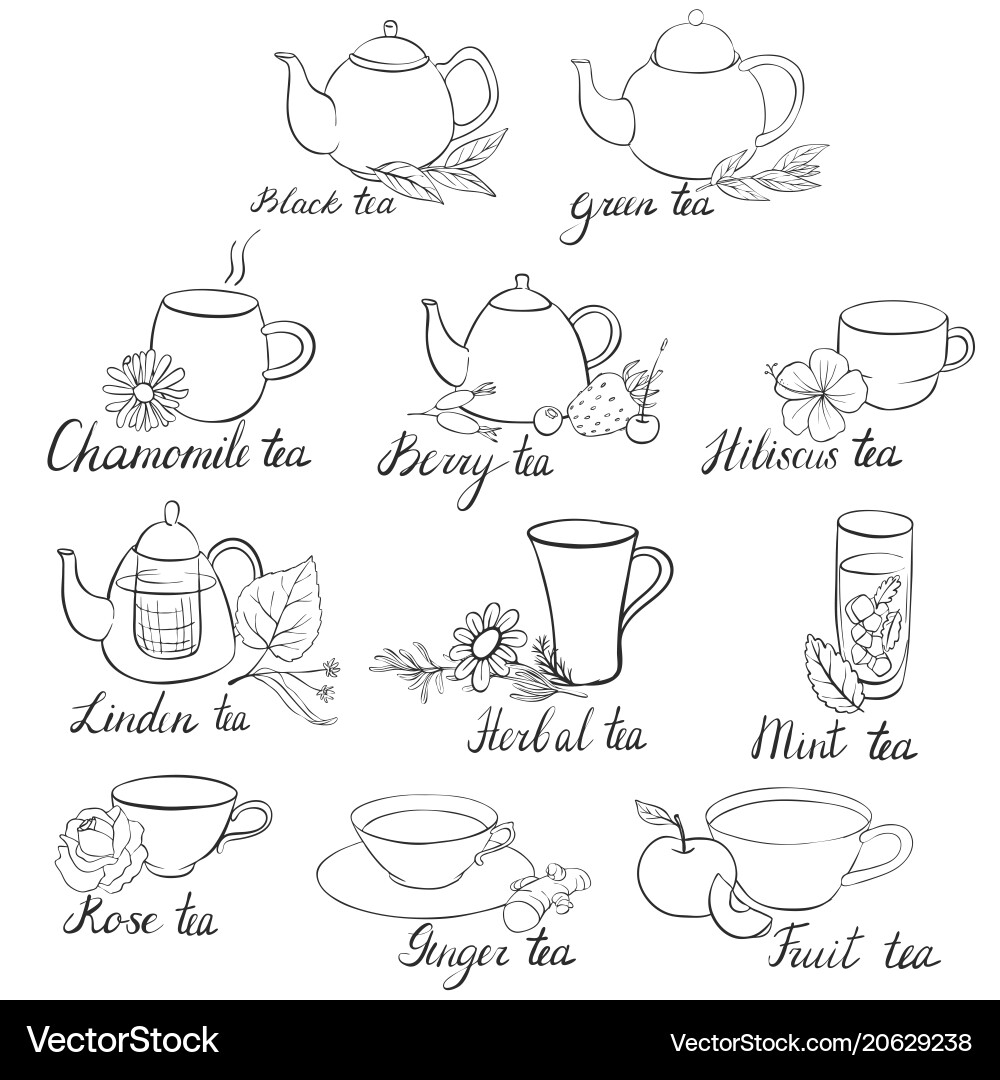 Tea Collection - Herbal Infusion Royalty Free Vector Image