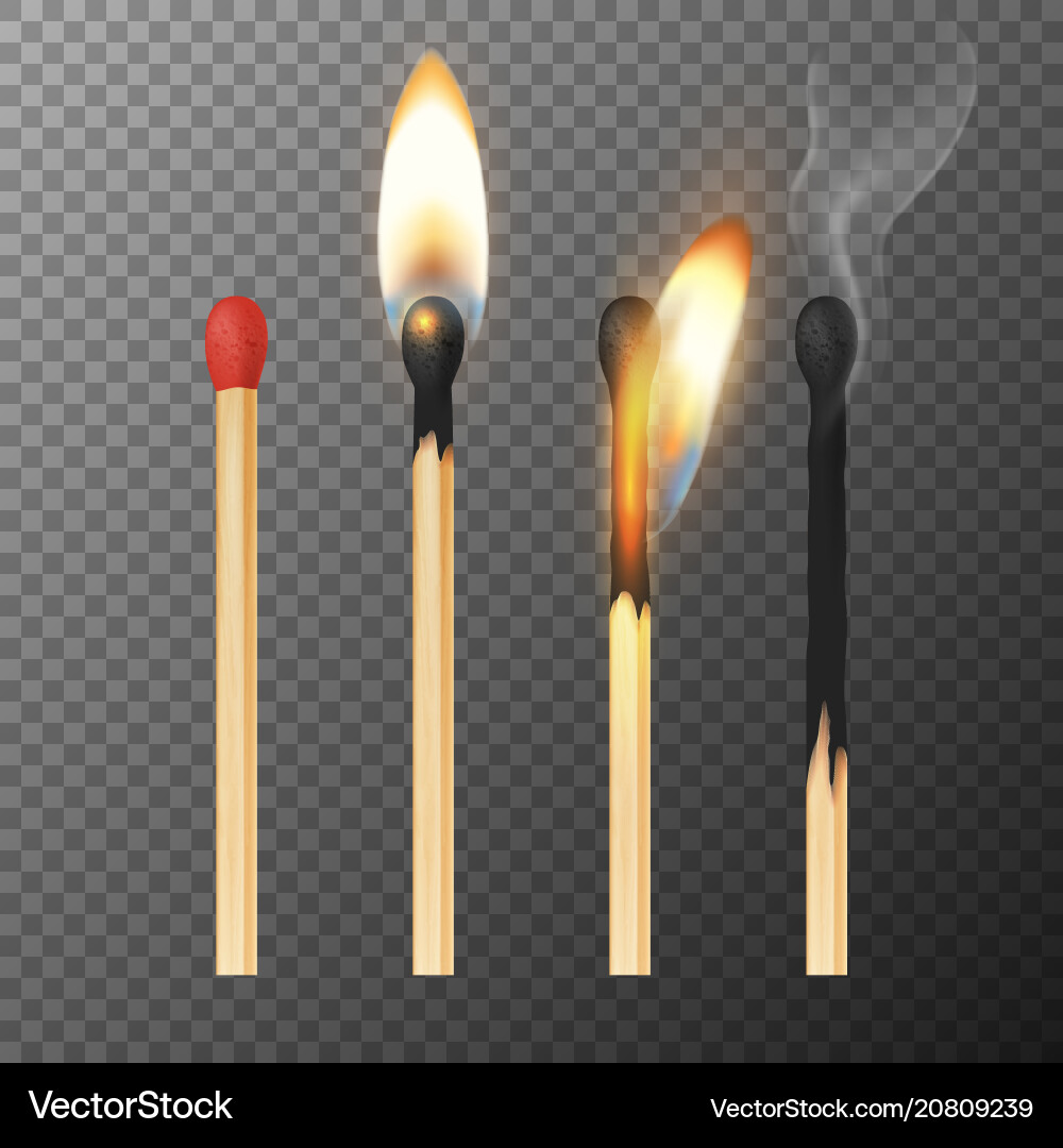 3d realistic match stick icon set closeup Vector Image