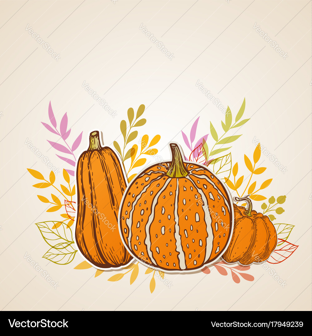 Autumn Pumpkins & Fall Foliage – Royalty-Free Vector | VectorStock