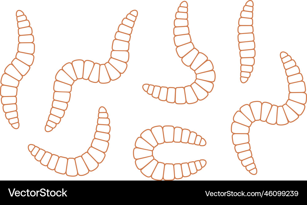 Earthworm Royalty Free Vector Image - VectorStock
